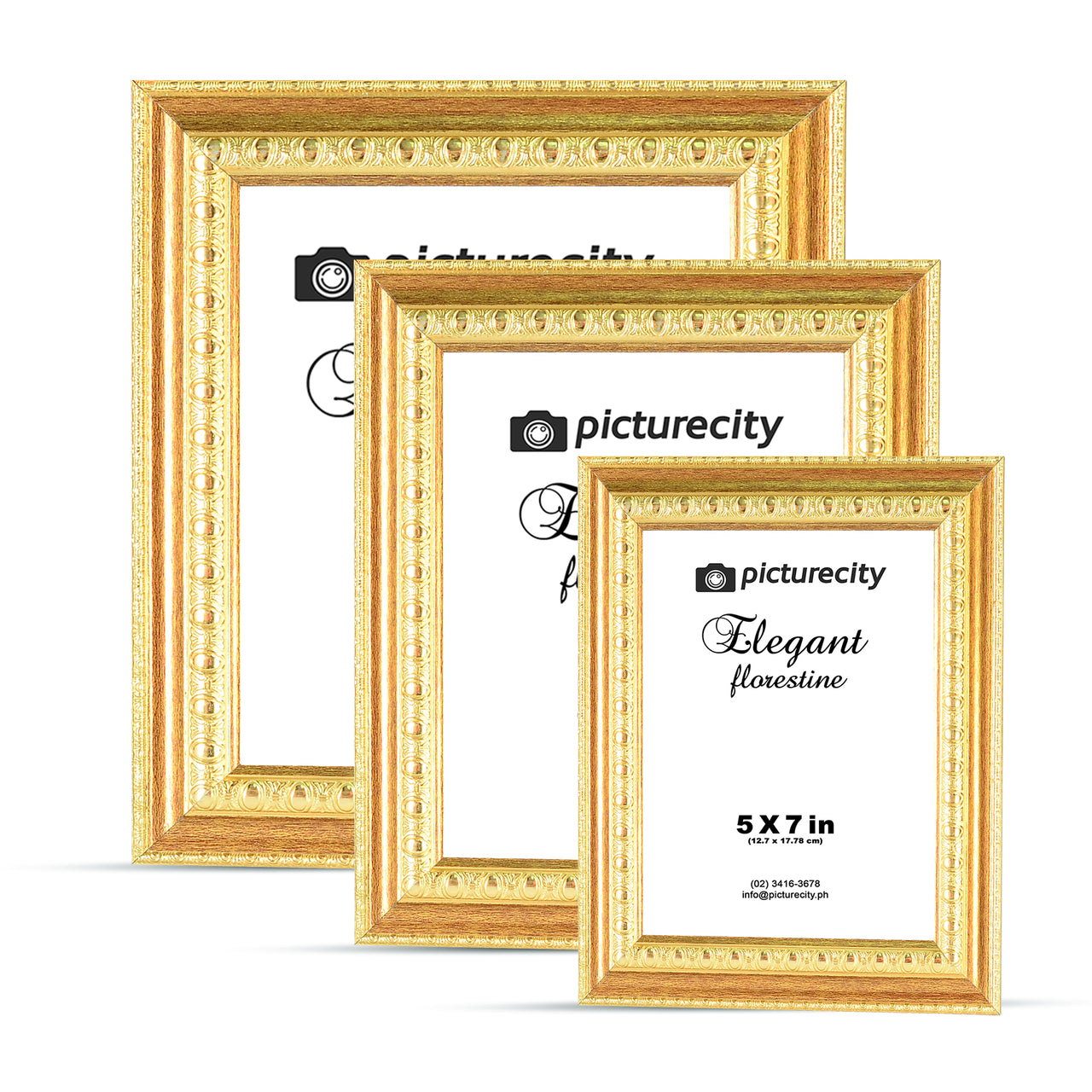 Elegant Frames – Picture City